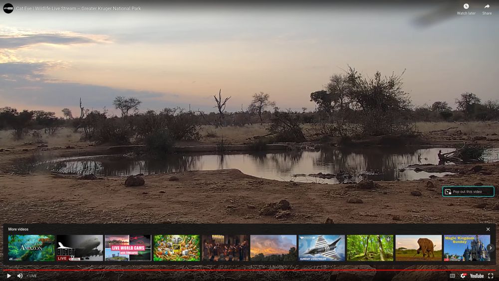 Live Webcams in Africa, Live Streaming (11 of 24 live webcams are working)